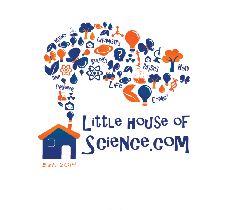 10 Fascinating & Fun Science Facts: Magnets - Little House of Science