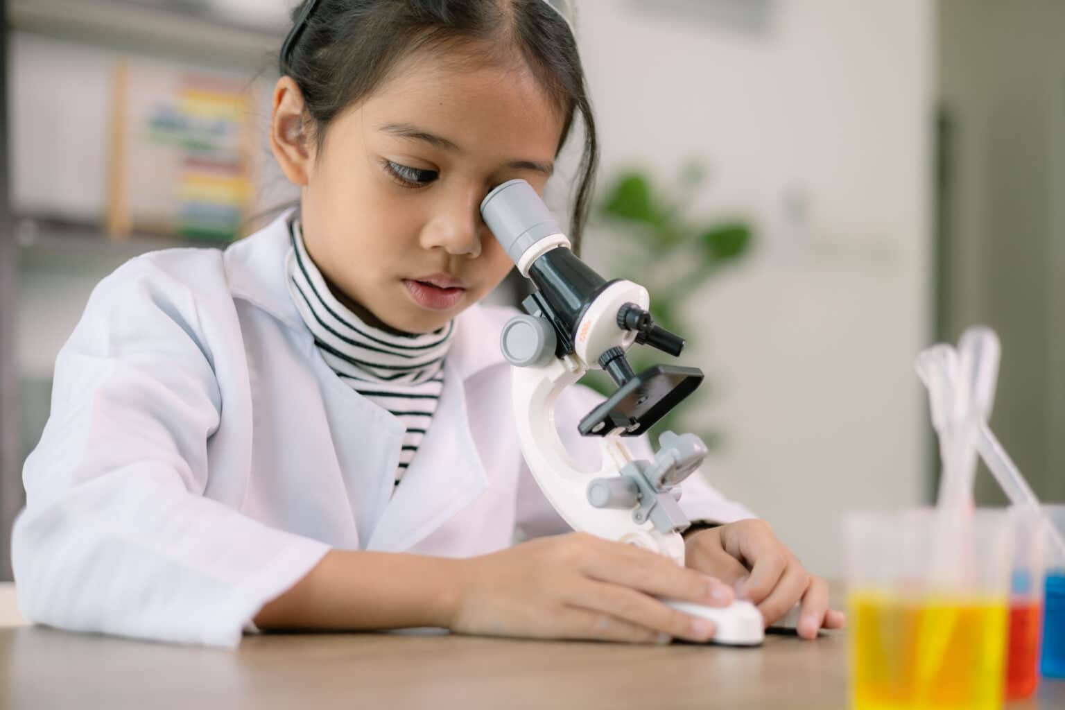 Science programmes for schools - Little House of Science