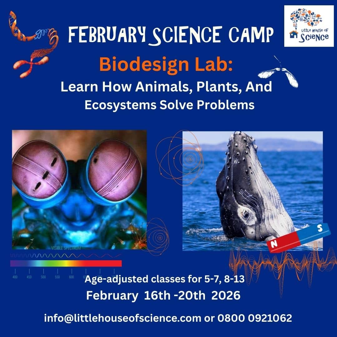 February Half Term Science Camps - London - Little House of Science